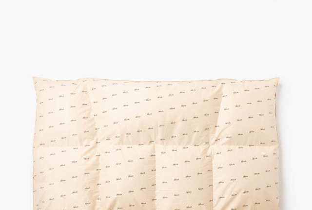 Down duvet store
